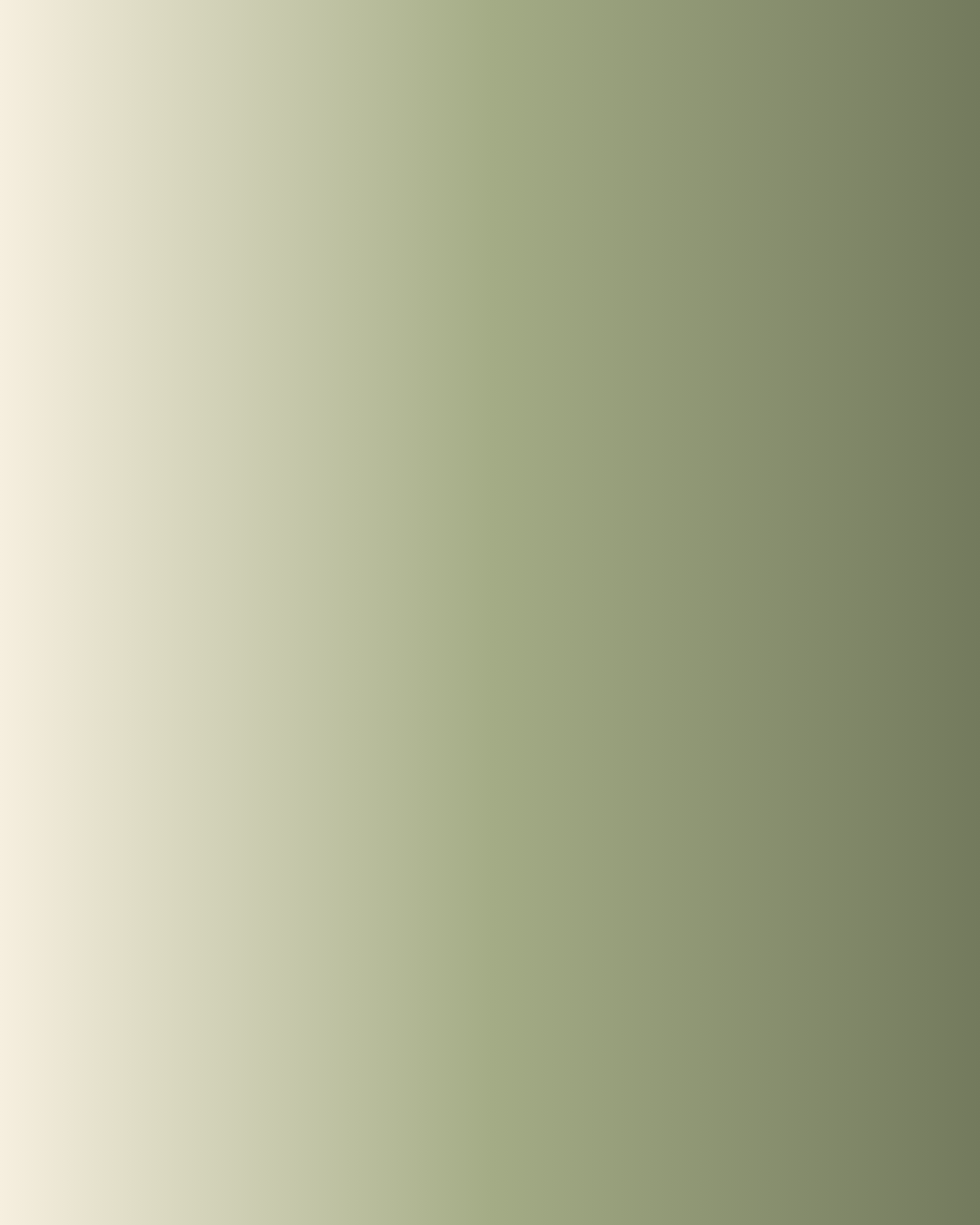 BC Marketing Agency – Helping your business with its digital marketing ...